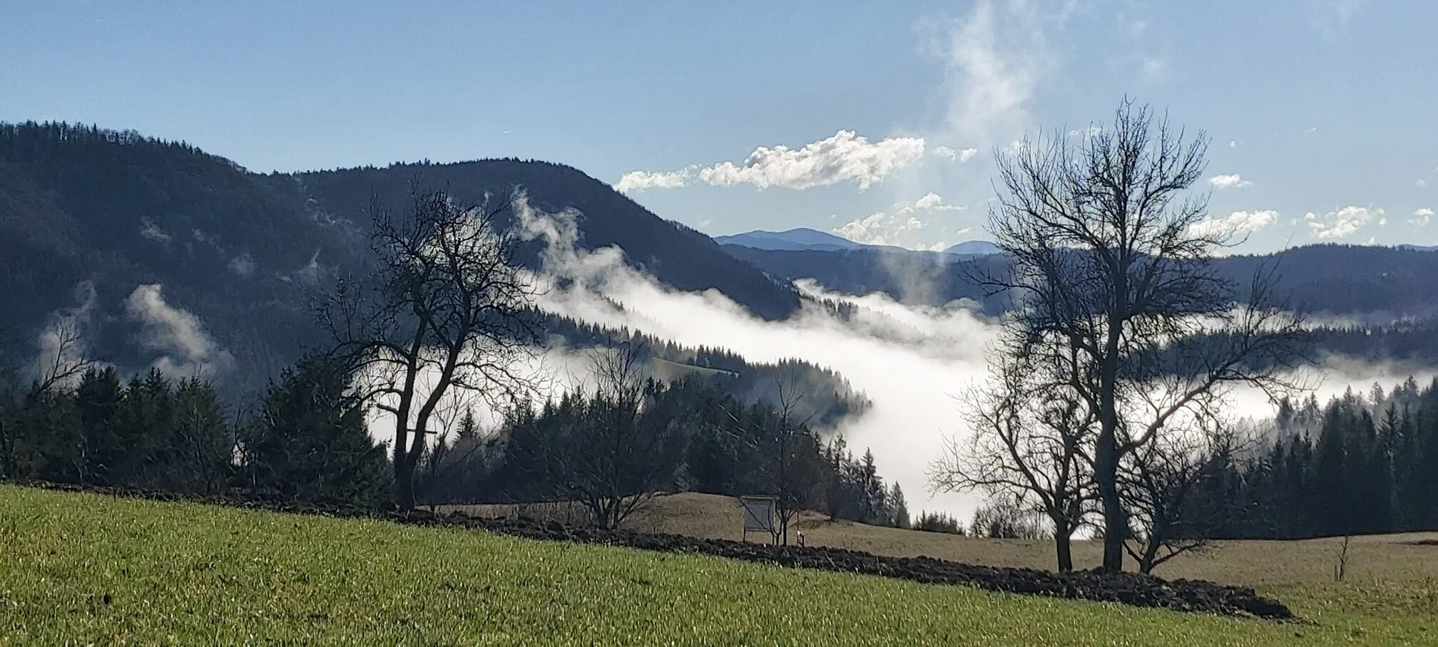 Na koline na Osredek - PDKRIM
